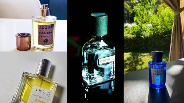 Top Italian Perfume Brands And Facts About Them - Italian Cooking and ...