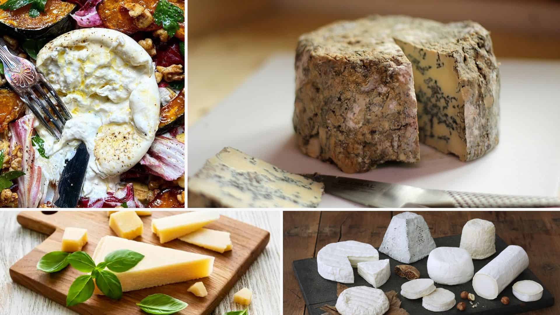 Robiola Cheese: A Italian Delight for Your Palate